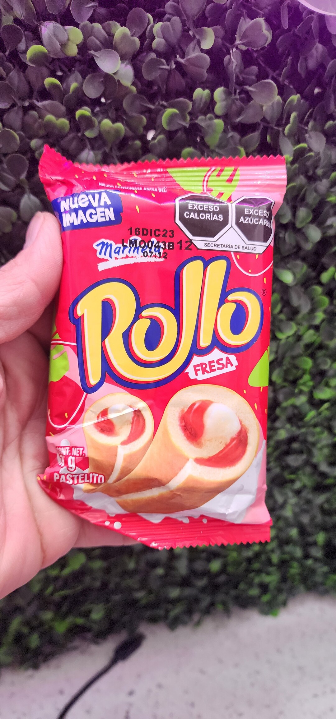 Rollo Fresa - Etsy