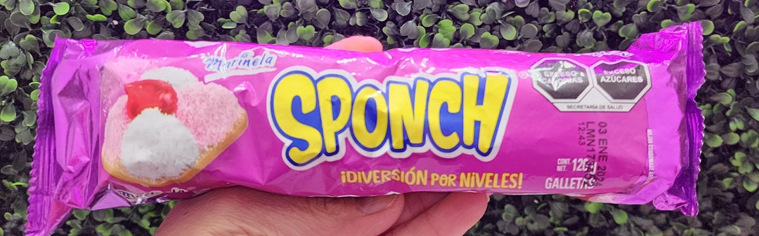 Sponch Cookies - Etsy