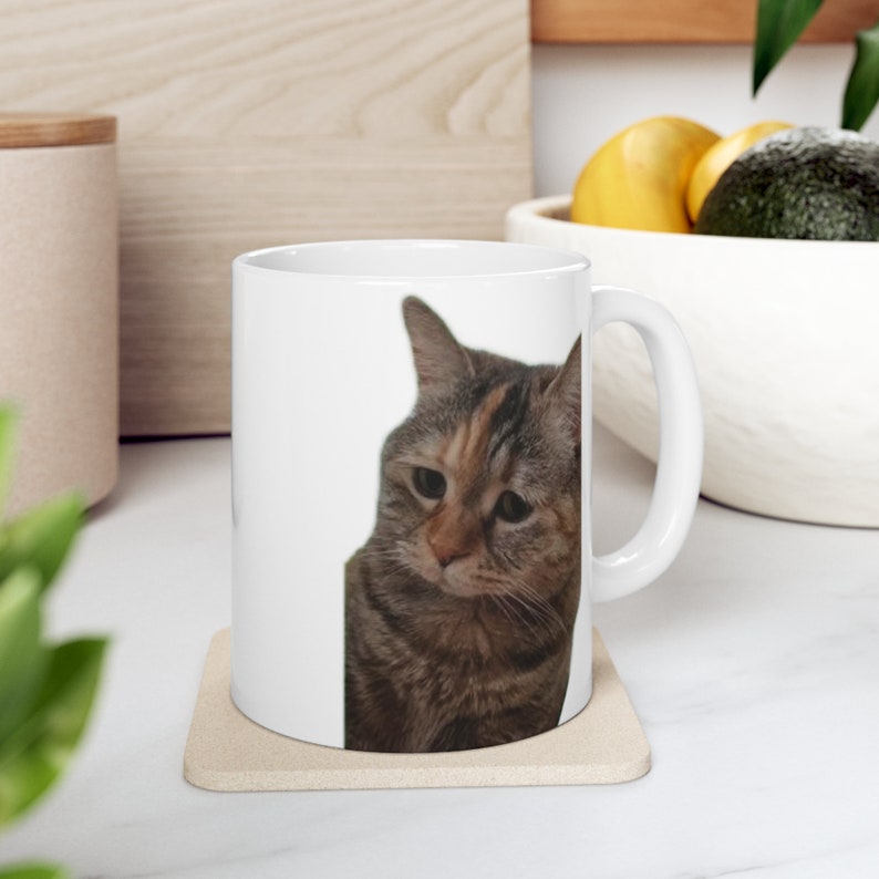 Talking Cats Ceramic Mug, Sad Talking Cat Mug, Meme Cats Mug for ...