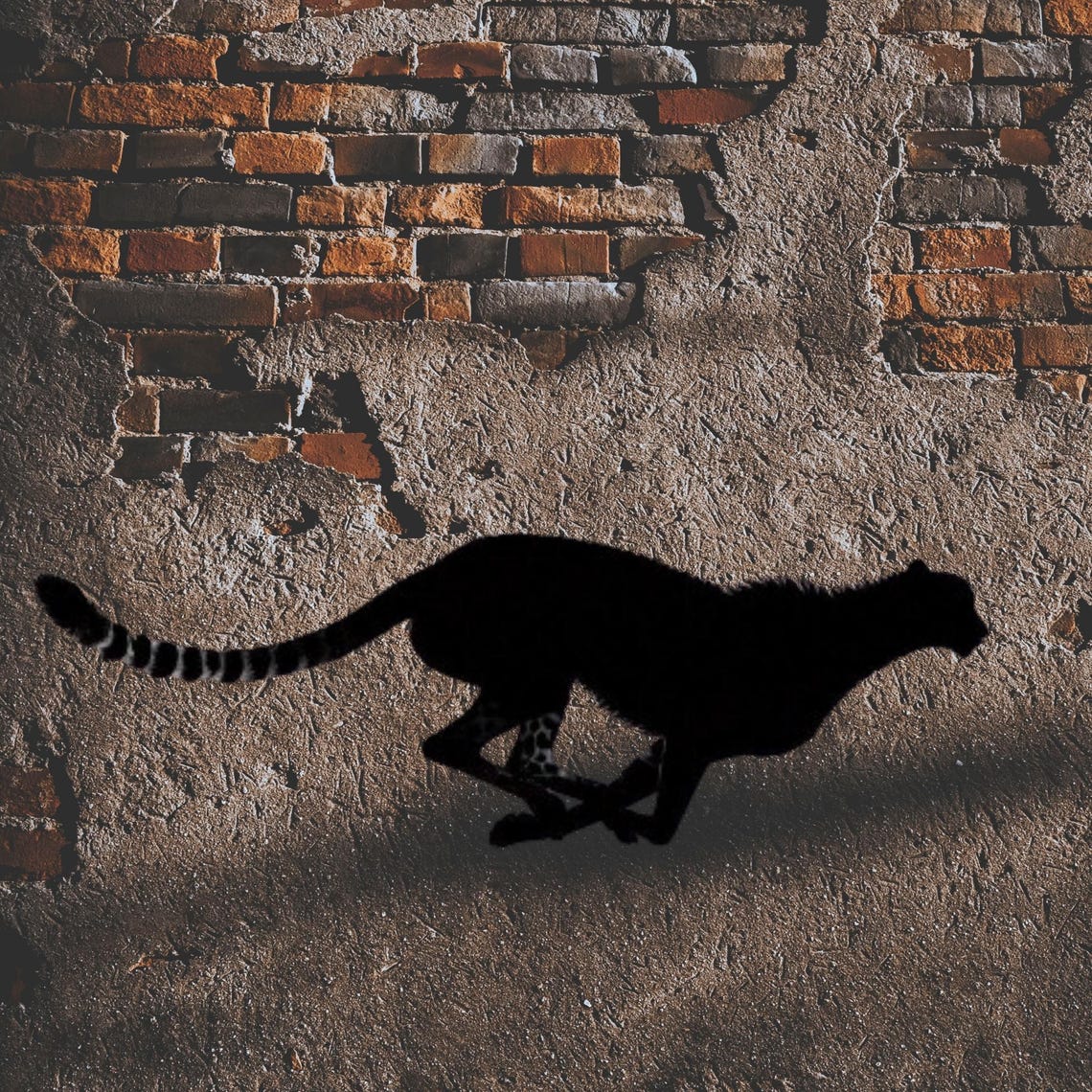 Cheetah Figurine Digital Wall Decor - DXF and STL Files for Custom ...