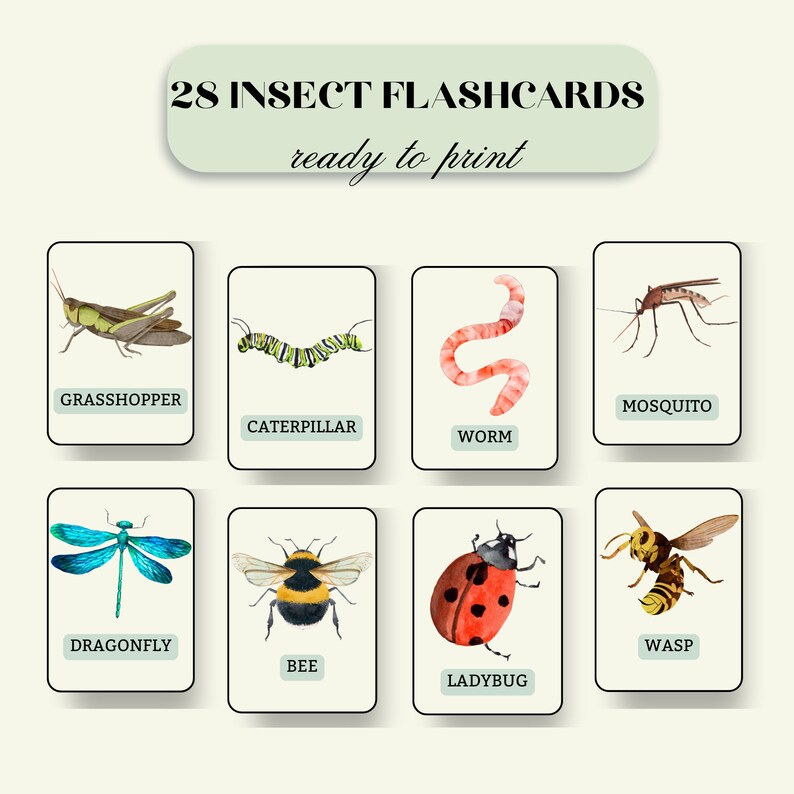 28 Educational Insect Flashcards for Kids Fun Learning Tool for ...