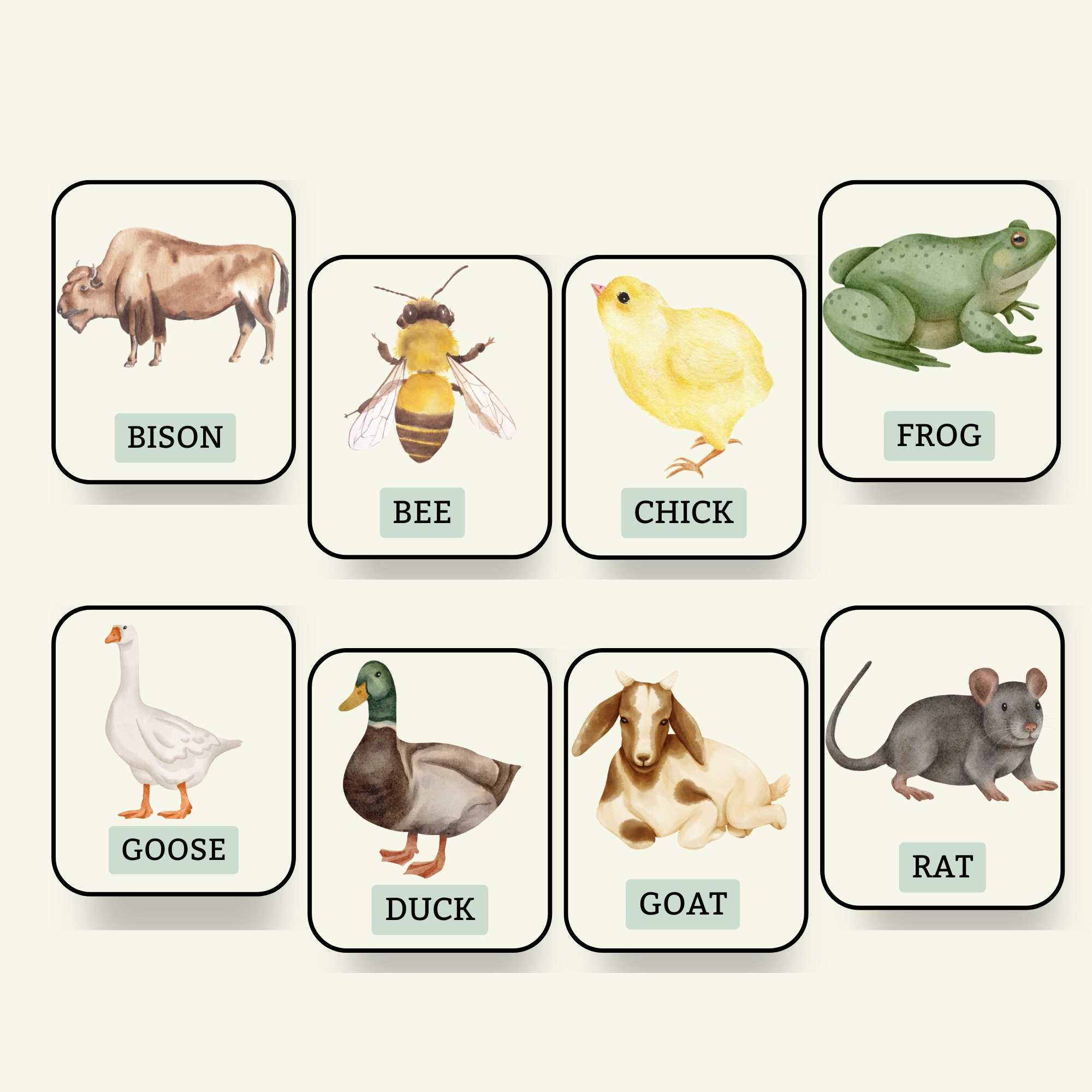 32 Farm Animal Flashcards for Kids Educational Learning Cards for ...