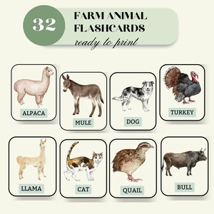 32 Farm Animal Flashcards for Kids Educational Learning Cards for ...