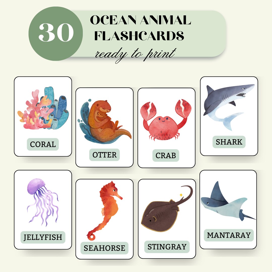 30 Ocean Animal Flashcards for Kids Printable Learning Cards Sea ...
