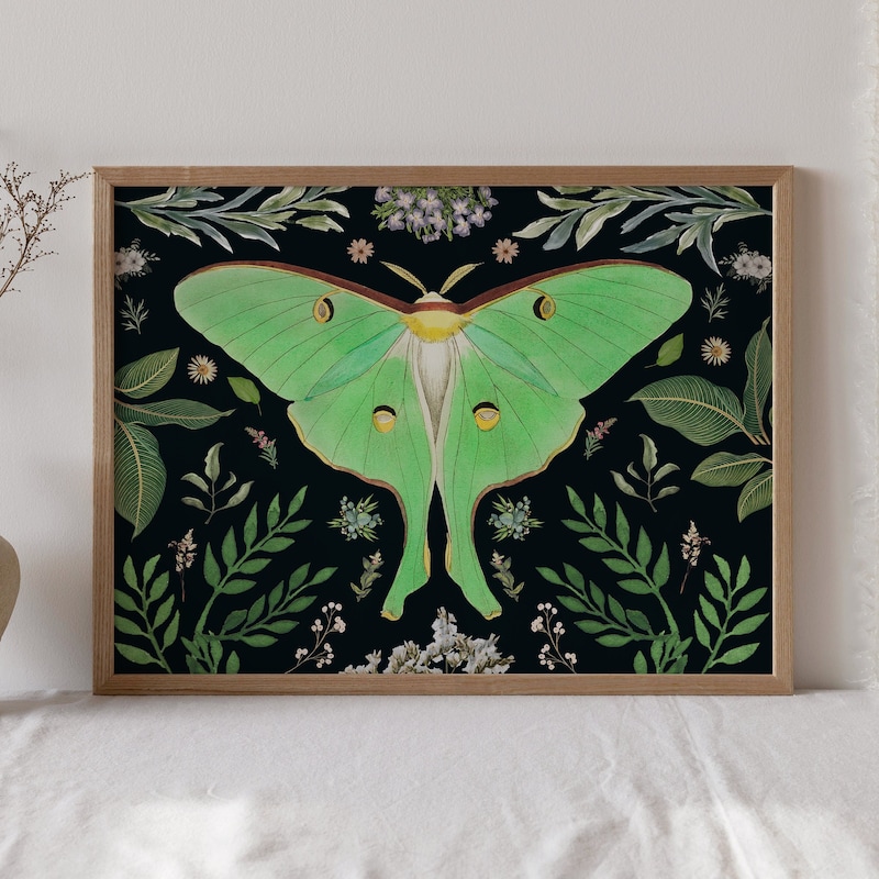 Luna Moth Art - Etsy