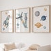 Solar System Print With Bible Verse | Educational Poster, Printable ...