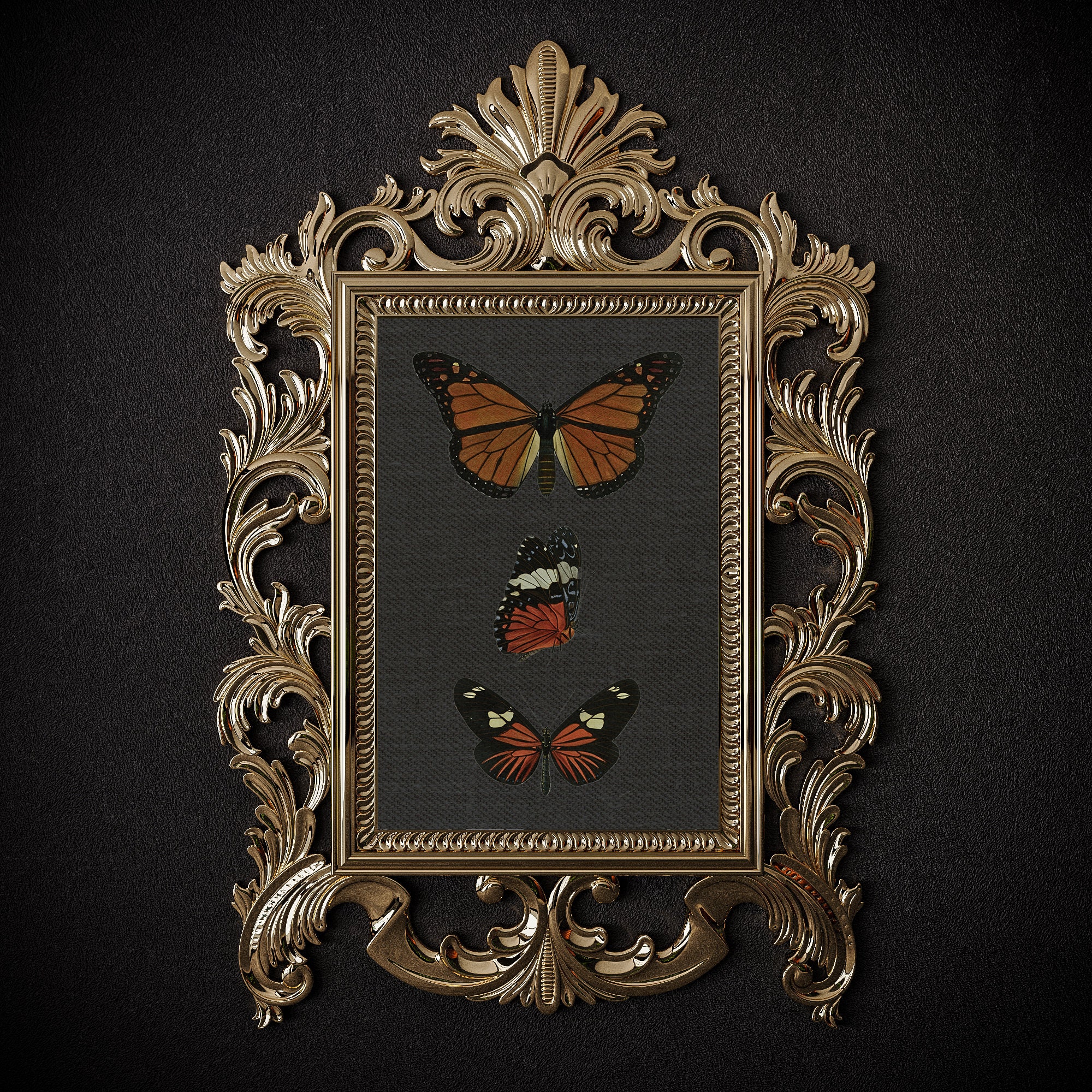Motten Set von 6 Mega Bundle Kunstdrucke, Schmetterling Bilder ...