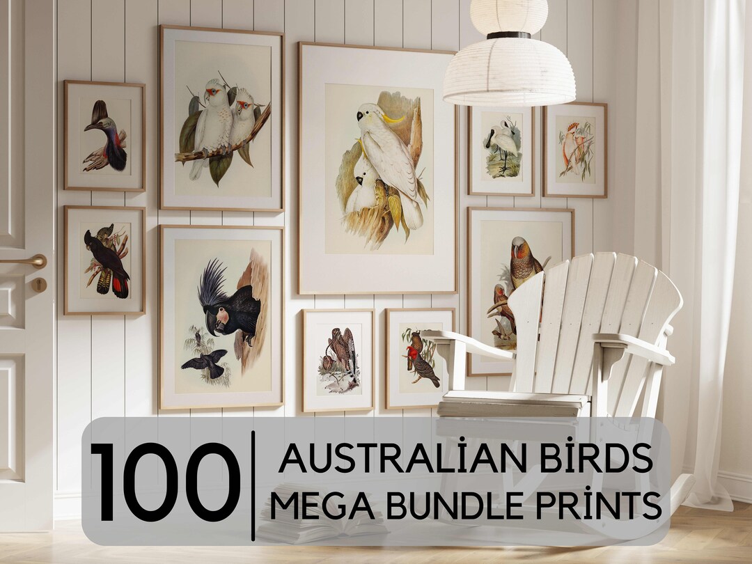 Australian Birds Prints Set of 100 MEGA BUNDLE Art Prints , Australian ...