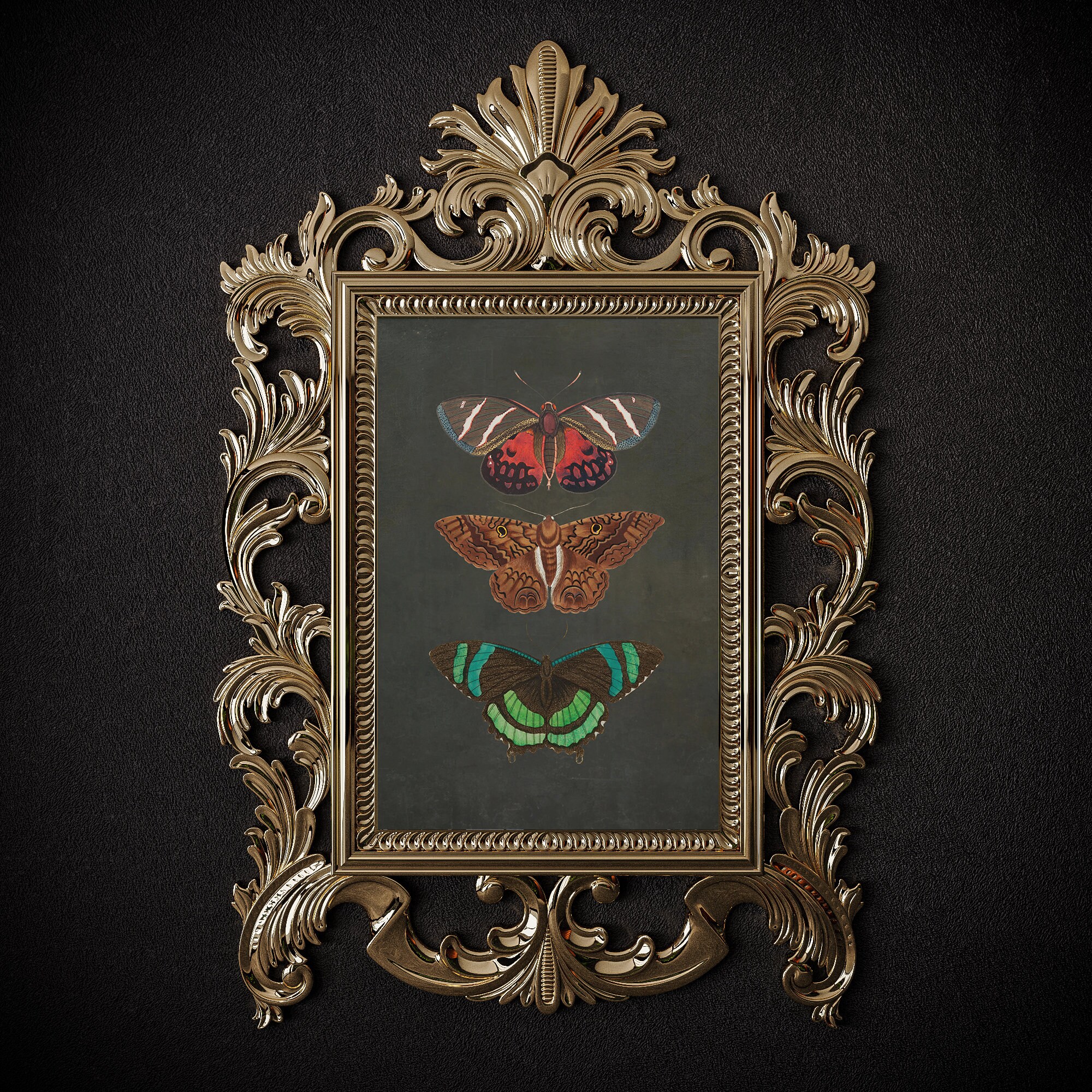 Moths Art Print, Moths Illustration, Dark Academia Print, Goth Wall Art ...
