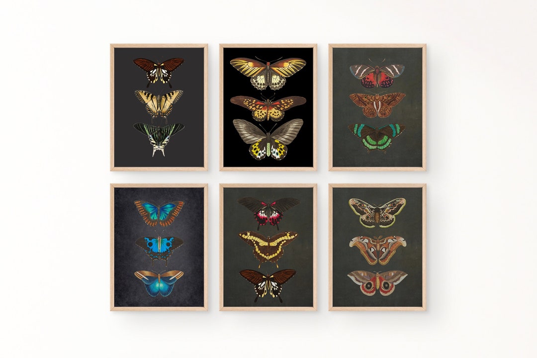 Moths Art Set of 6 Mega Bundle Art Prints, Moths Illustration, Dark ...