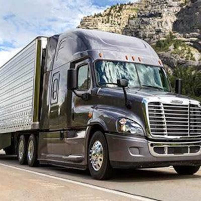 Freightliner Cascadia - Etsy