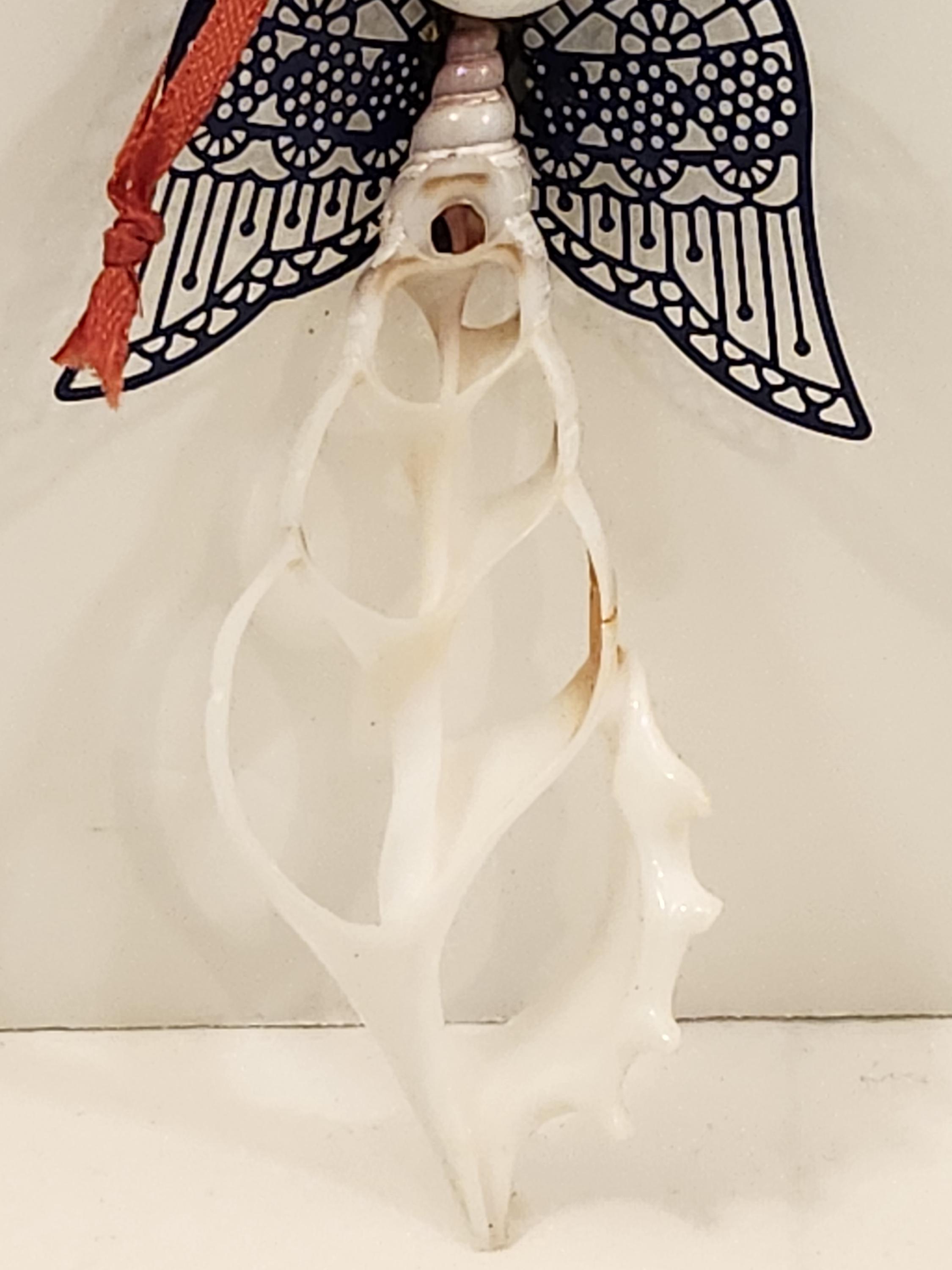 Vintage Handcrafted Tibia Seashell Sea Angel Holiday/ Christmas ...