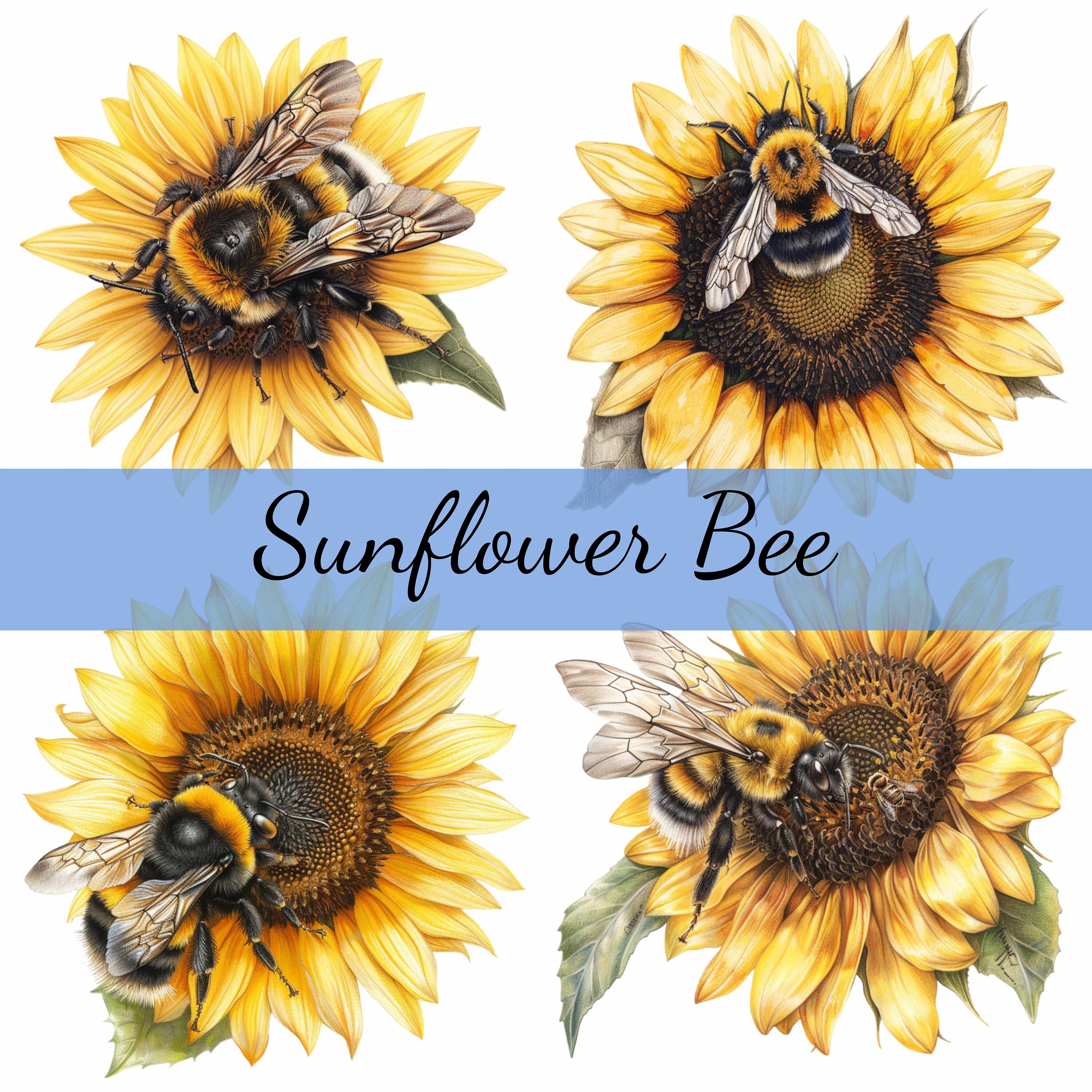 14 Bee on a Sunflower Clipart Bundle, 14 High-quality JPG, Craft Art ...