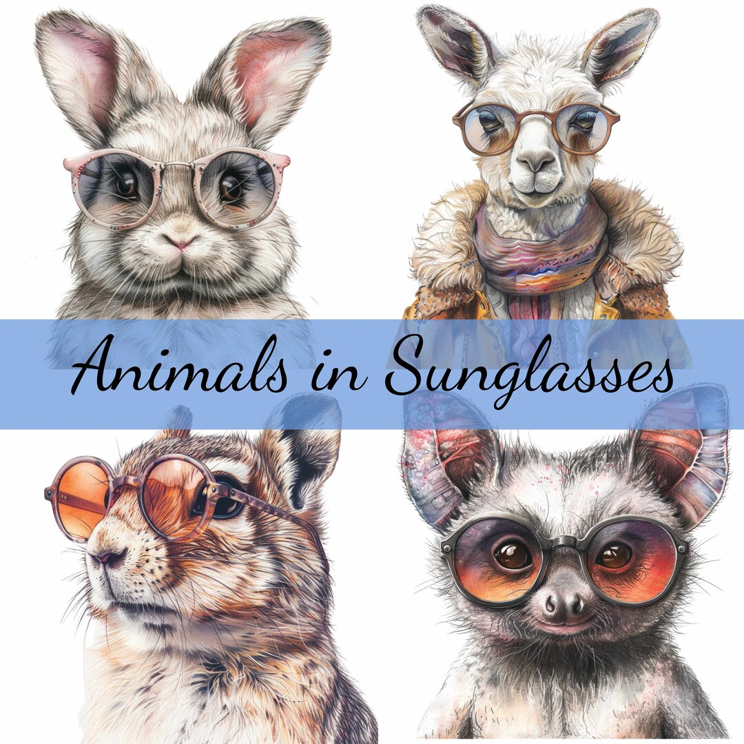16 Animal Wearing Sunglasses, Clipart Bundle, 16 High-quality JPG ...