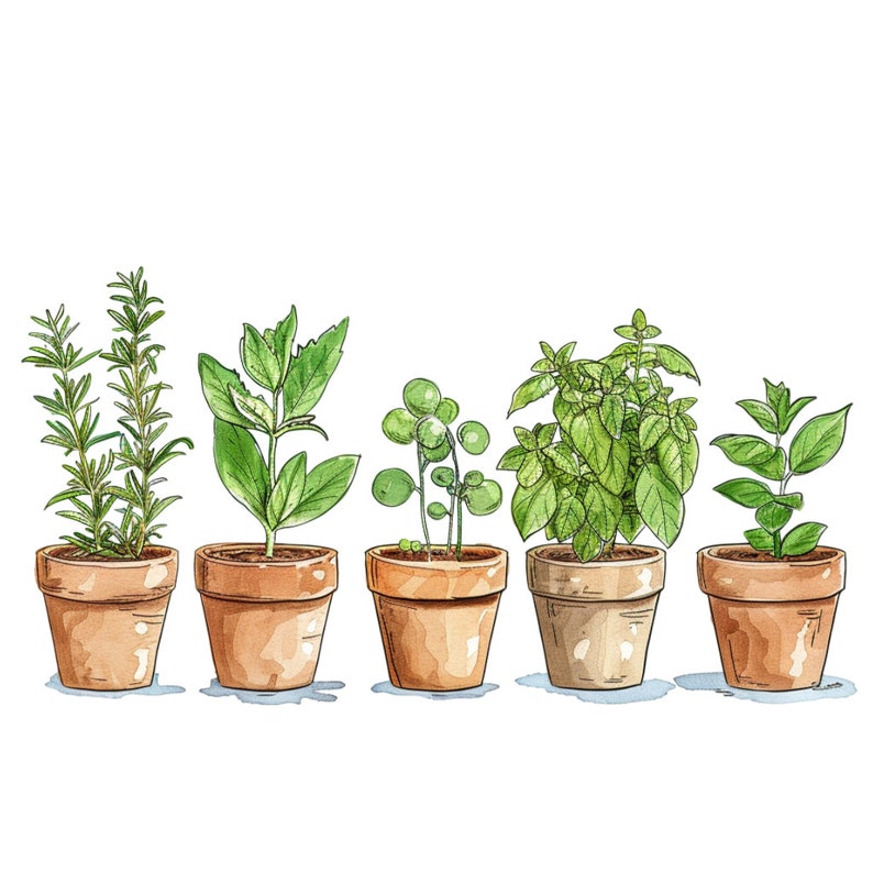 Herbs in Pots Clipart Bundle, 16 High-quality JPG, Craft Art, Card ...