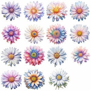 15 Boho Single Daisy Flower Clipart Bundle, High-quality JPG, Craft Art ...