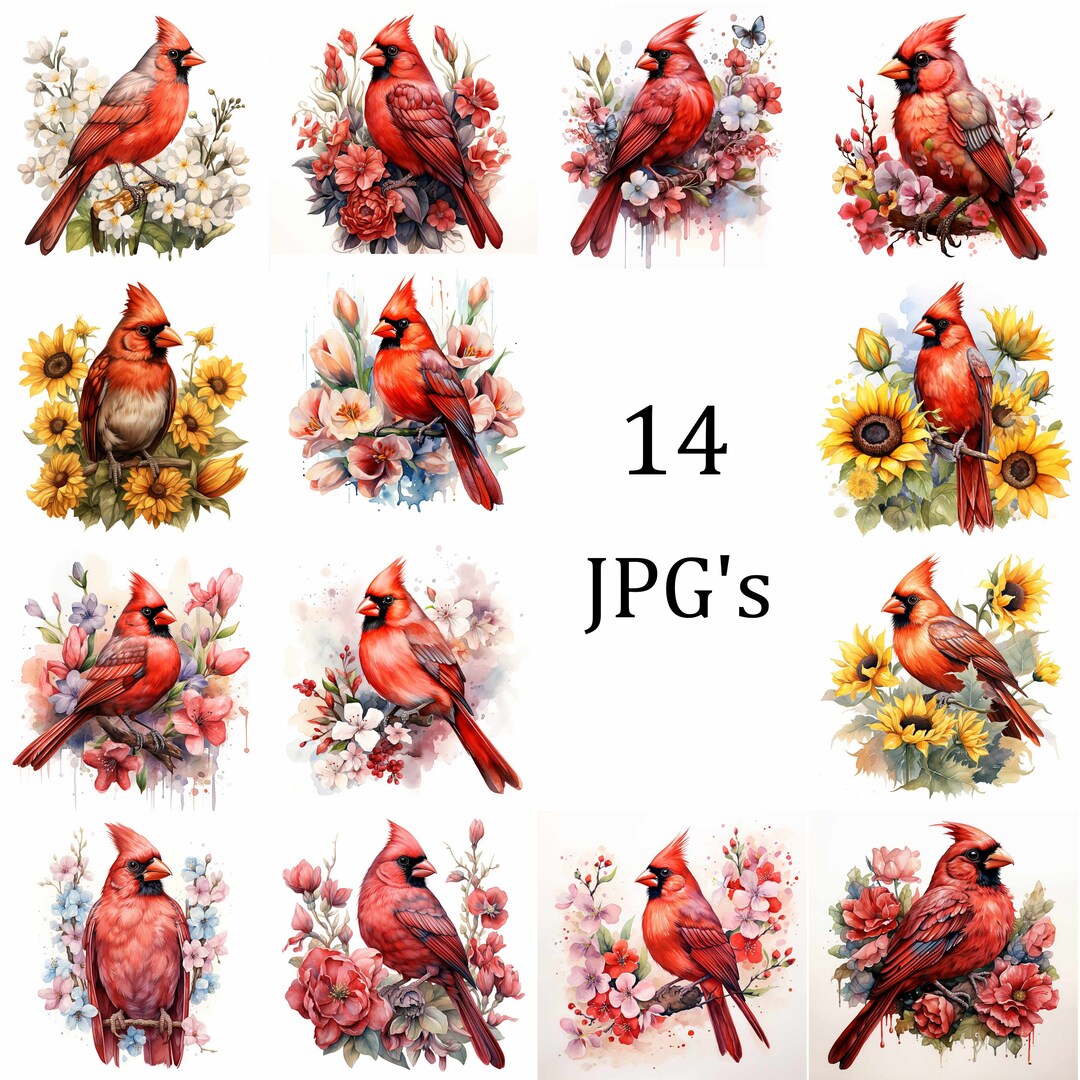 14 Cardinal Bird Clipart Bundle, High-quality JPG, Invitations, Card ...