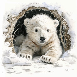 Polar Bear in Snow Den Clipart Bundle, 16 High-quality JPG, Craft Art ...