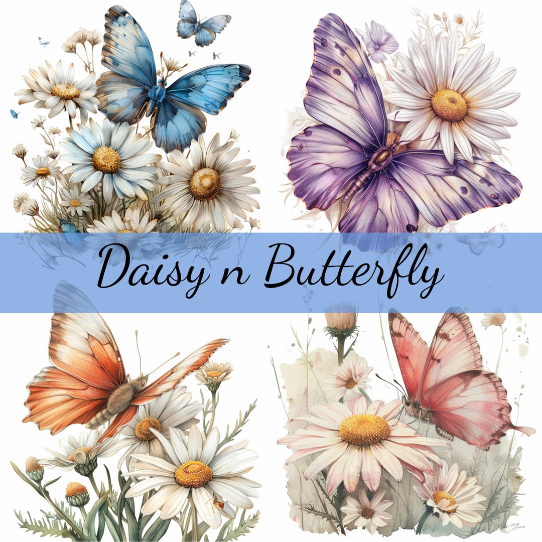 15 Daisy Flower and Butterfly Clipart Bundle, 15 High-quality JPG ...