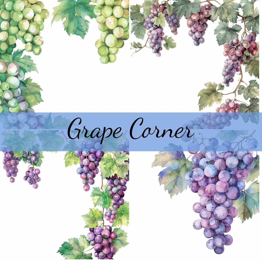 16 Grape Corner Frame Clipart Bundle, 16 High-quality JPG, Craft Art ...