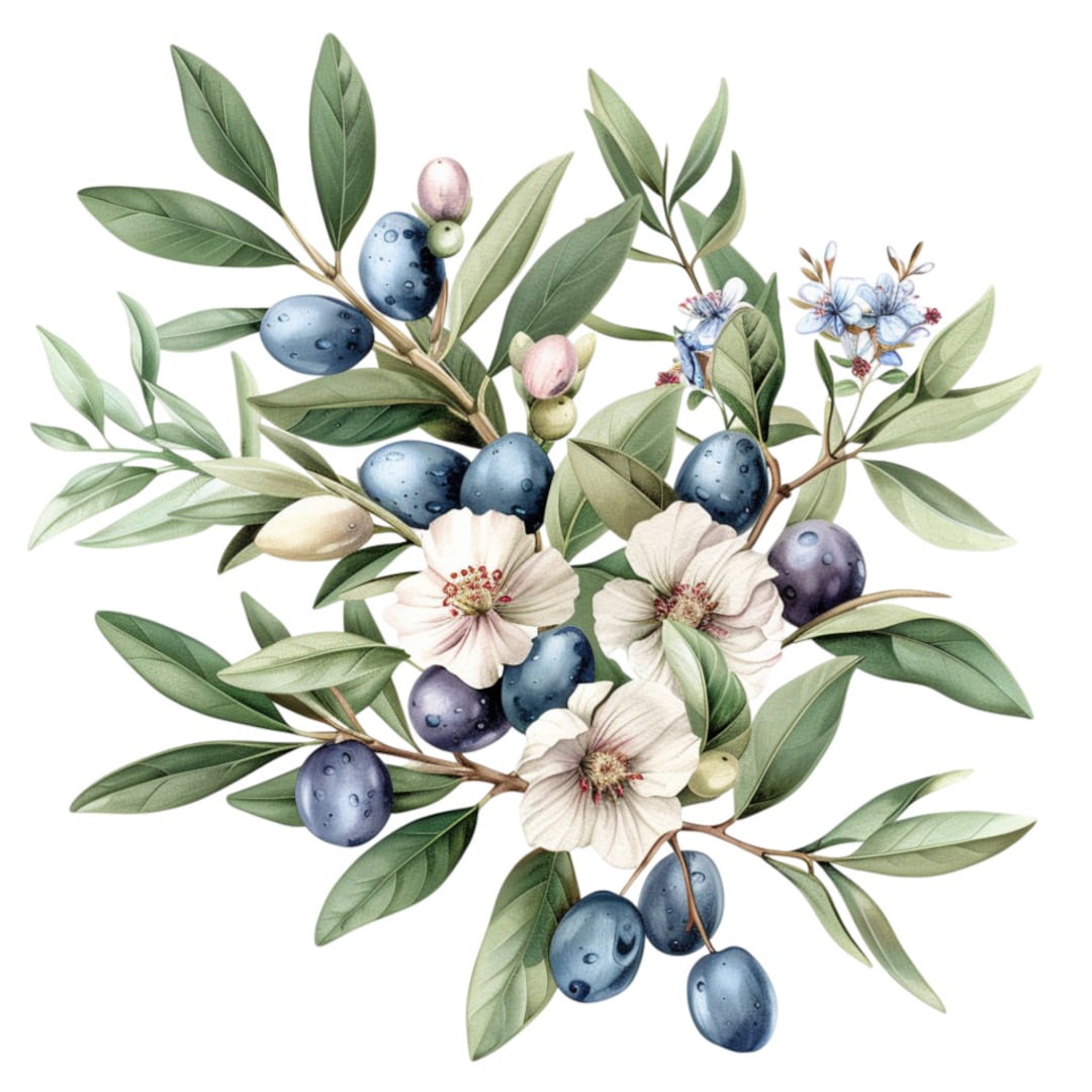 Olives and Flowers on Branch Clipart Bundle, 16 High-quality JPG, Craft Art, Card Making, Clip ...