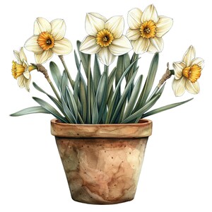 Daffodil in Flower Pot Clipart Bundle, 16 High-quality JPG, Craft Art ...