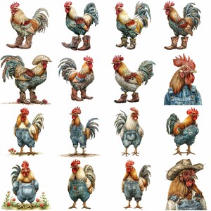 16 Rooster Chicken Boots Overalls Cowboy Hat 16 Clipart Bundle ...