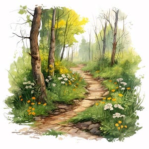 16 Spring Path in Woods Landscape Clipart Bundle, High-quality JPG ...