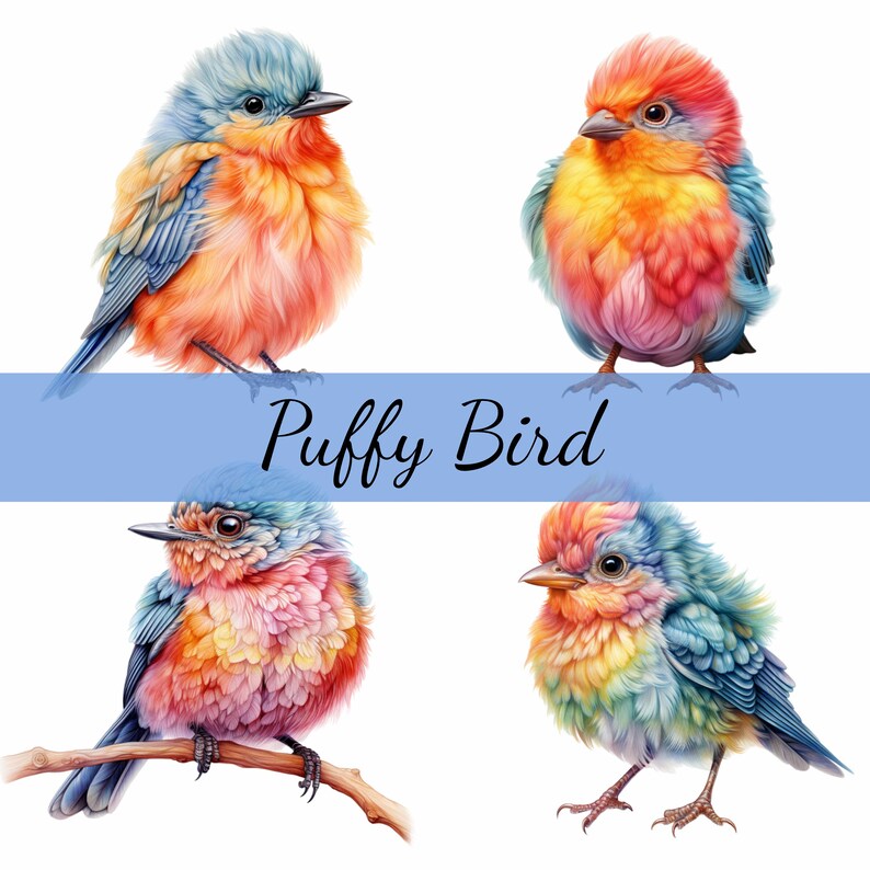 Puffy Fluffy Rainbow Birds Clipart Bundle, High-quality JPG, Craft Art ...
