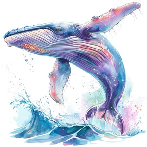 Cute Humpback Whale Jumping Water Clipart Bundle, 16 High-quality JPG ...