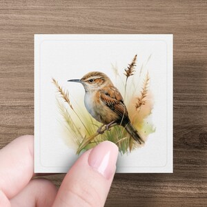 Wren Bird in Grass Clipart Bundle, High-quality JPG, Craft Art, Card ...