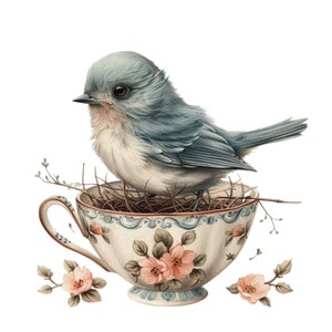 16 Cute Bird in a Tea Cup Nest Clipart Bundle, 16 High-quality JPG ...
