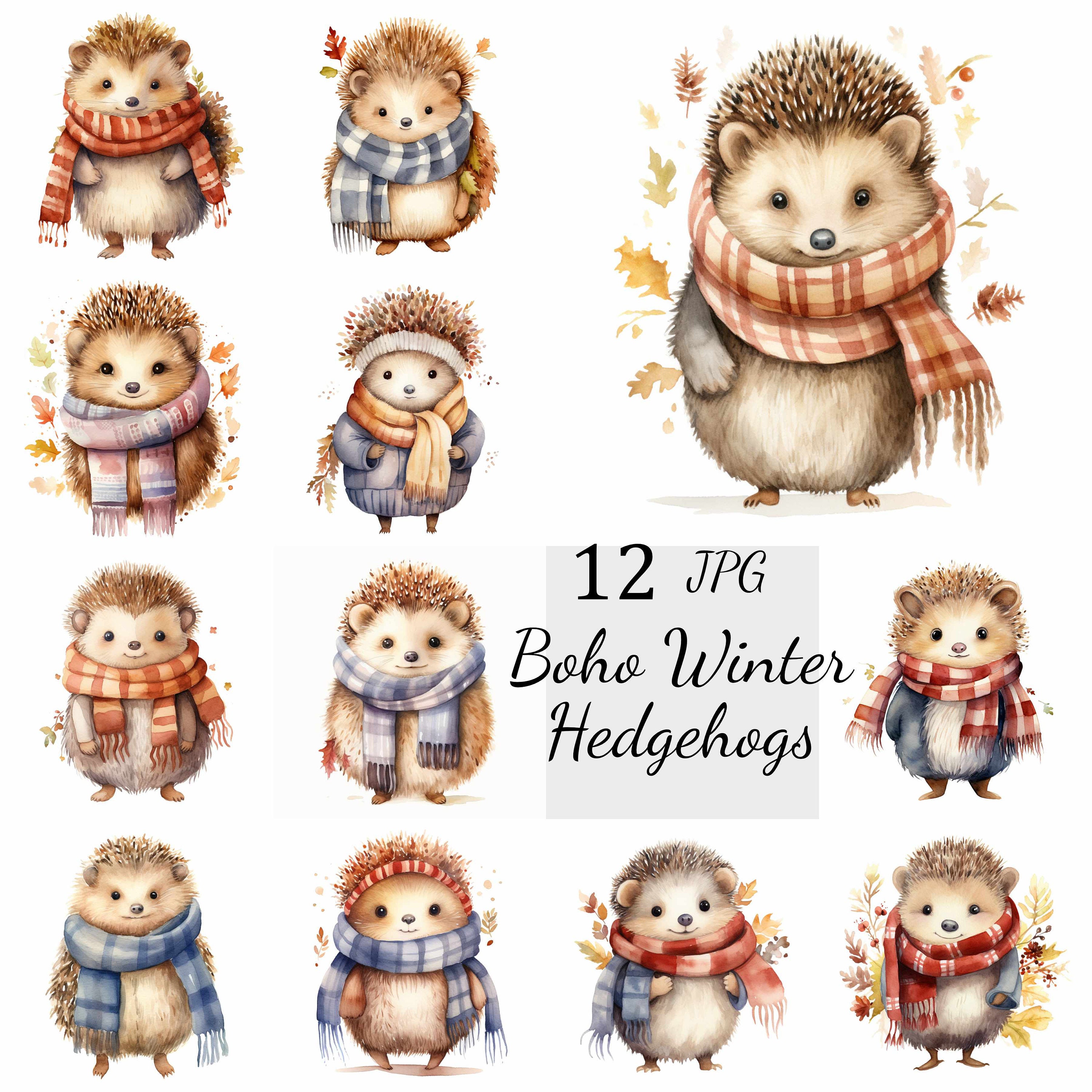 12 Boho Winter Hedgehog Clipart Bundle, High-quality JPG, Nursery Art ...