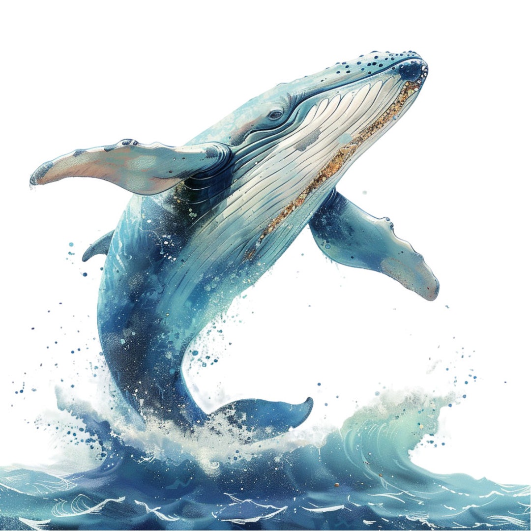 Cute Humpback Whale Jumping Water Clipart Bundle, 16 High-quality JPG ...