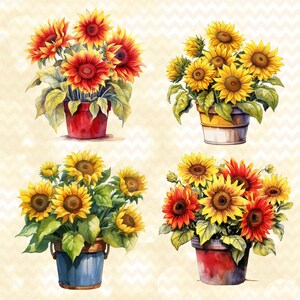 16 Red Sunflowers in Pots Clipart Bundle, High-quality PNG, Watercolor ...