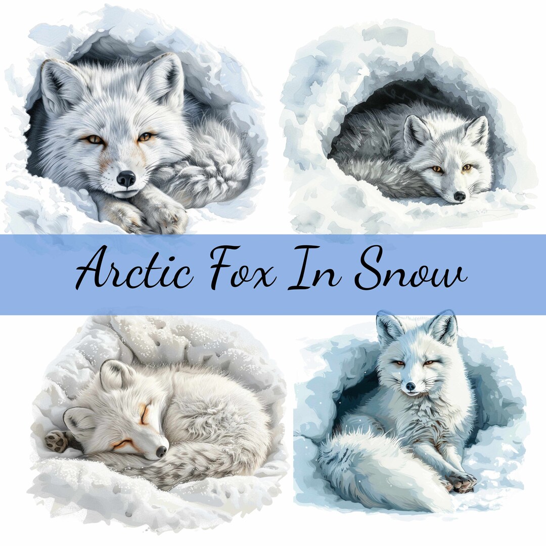 Arctic Fox in Snow Den Clipart Bundle, 15 High-quality JPG, Craft Art ...