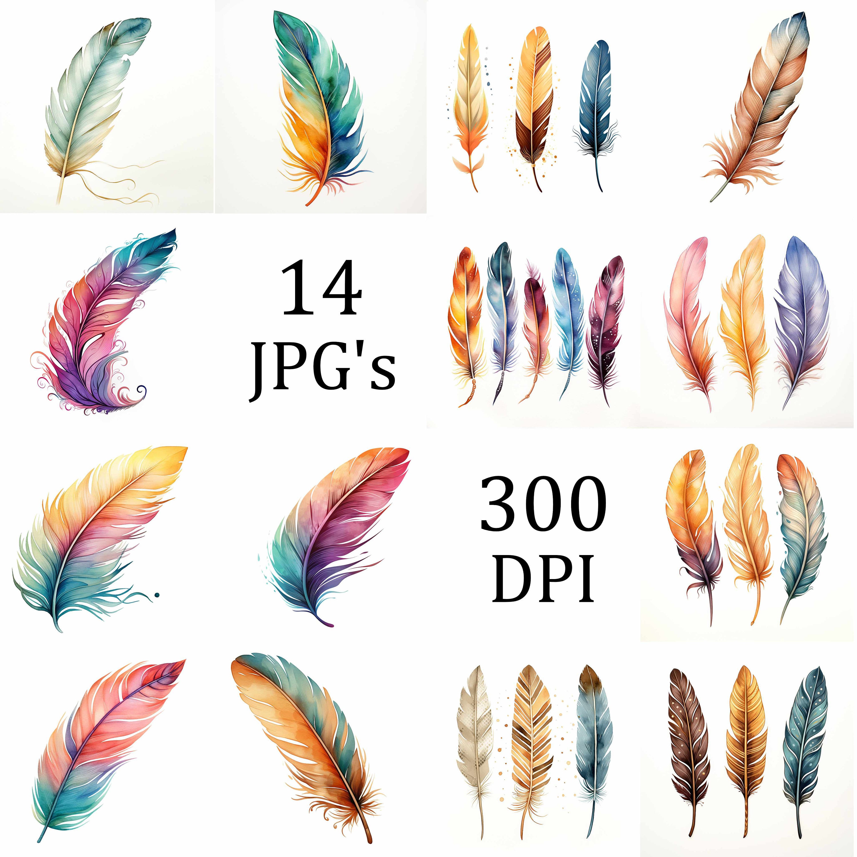 14 Boho Feather Clipart Bundle, High-quality JPG, Invitations, Card ...