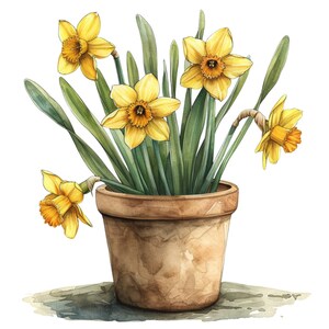 Daffodil in Flower Pot Clipart Bundle, 16 High-quality JPG, Craft Art ...