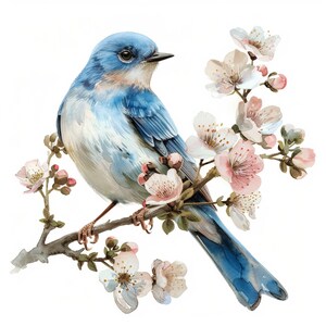 Blue Bird on Pink Flower Tree Branch Clipart Bundle, 16 High-quality ...