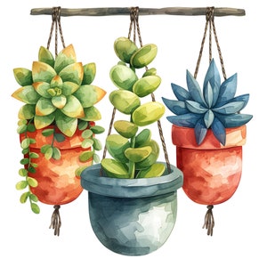 Succulents in Hanging Pots Clipart Bundle, 16 High-quality JPG, Craft ...