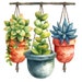 16 Succulents in Hanging Pots Clipart Bundle, 16 High-quality JPG ...