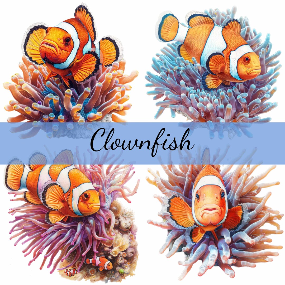 16 Clownfish in an Anemone Fish Clipart Bundle, 16 High-quality JPG ...
