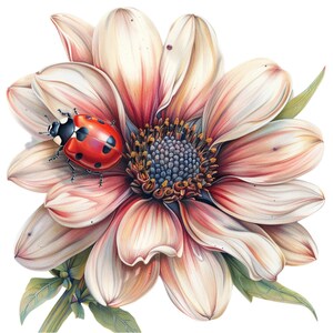 Ladybug on Flowers Clipart Bundle, 16 High-quality JPG, Craft Art, Card ...