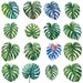 Monstera Plant Leaf Clipart Bundle, 16 High-quality JPG, Craft Art ...