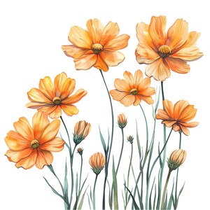 Colorful Daisy Flowers in a Row Clipart Bundle, 16 High-quality JPG ...