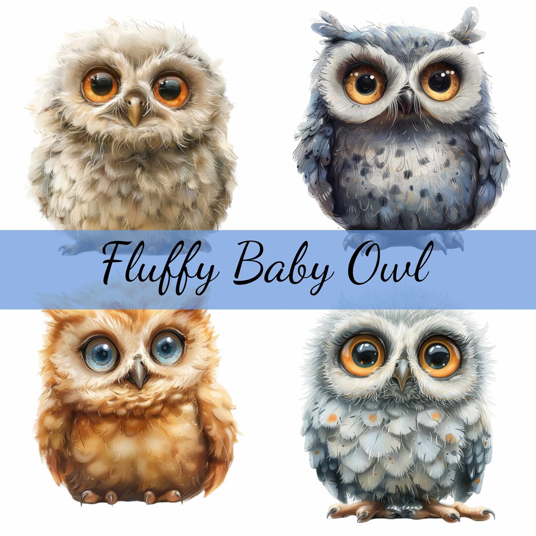 16 Cute Fluffy Owls Clipart Bundle, 16 High-quality JPG, Craft Art ...