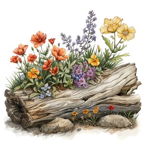 Flower and a Log Clipart Bundle, 16 High-quality JPG, Craft Art, Card ...