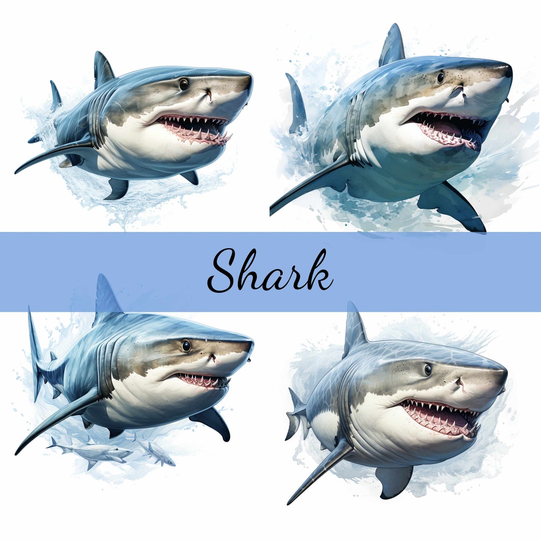 15 Shark in Water Clipart Bundle, High-quality JPG, Craft Art, Card ...
