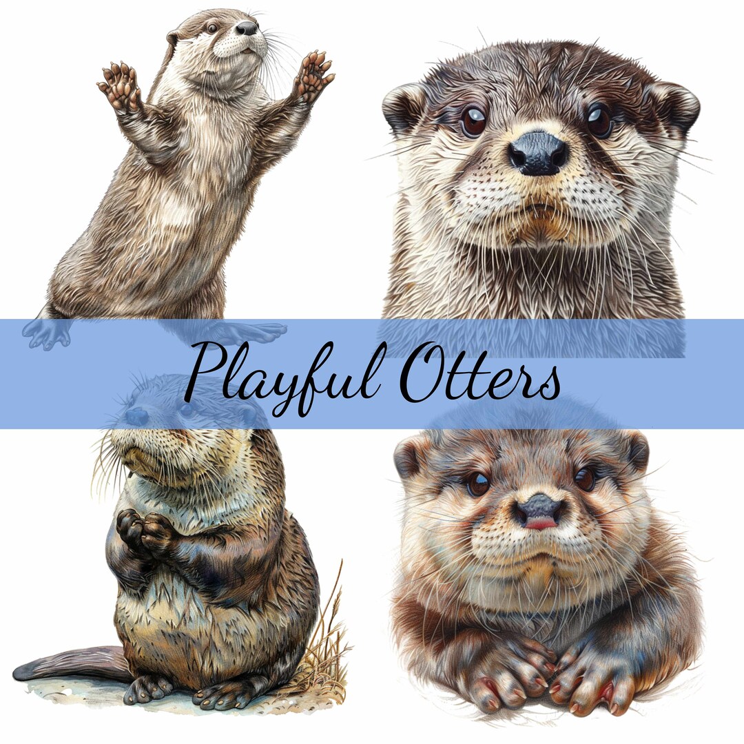 15 Playful Otter Clipart Bundle, 15 High-quality JPG, Craft Art, Card ...
