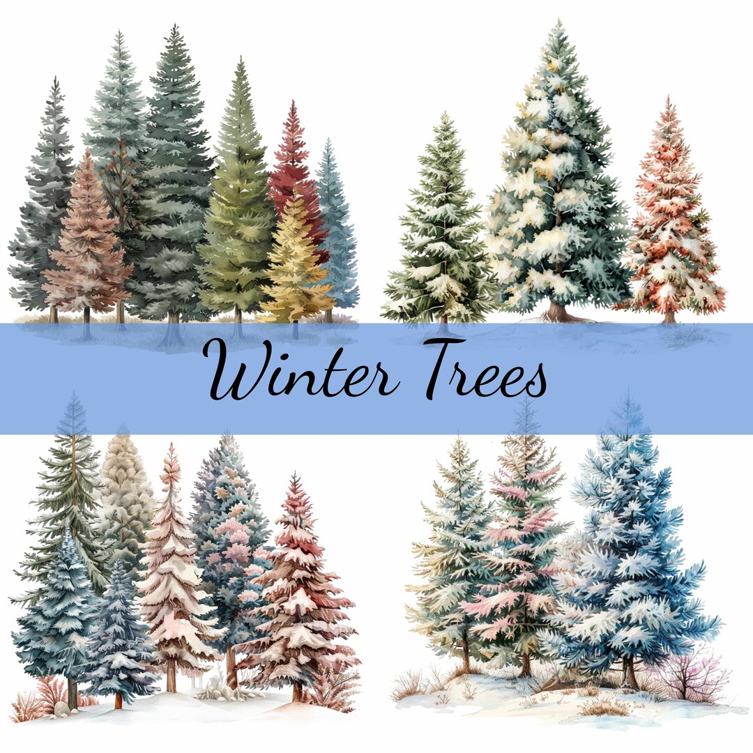 16 Winter Pines Christmas Trees Clipart Bundle, 16 High-quality JPG ...